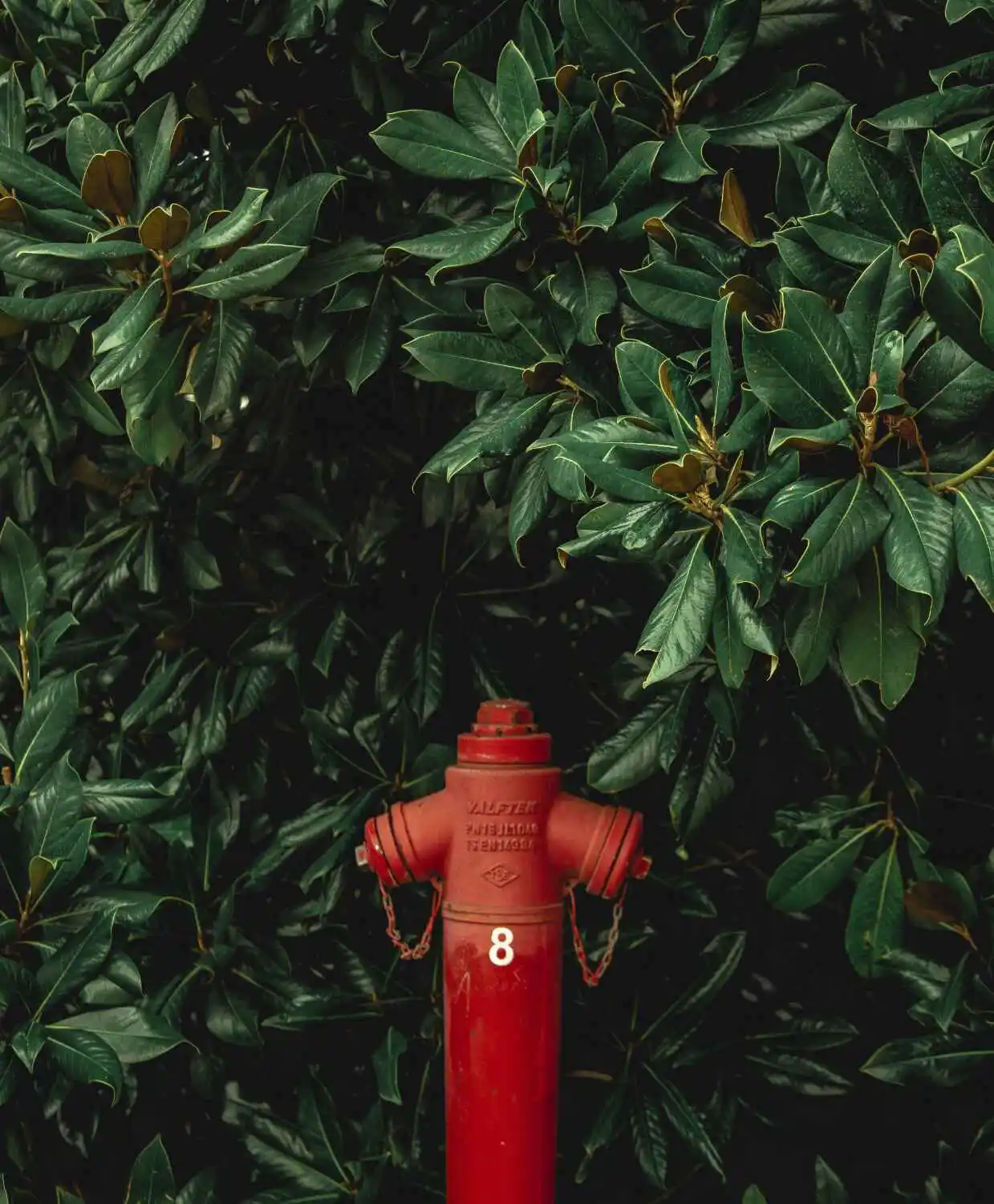 Fire Hydrant - Vibrant Engineering Solution